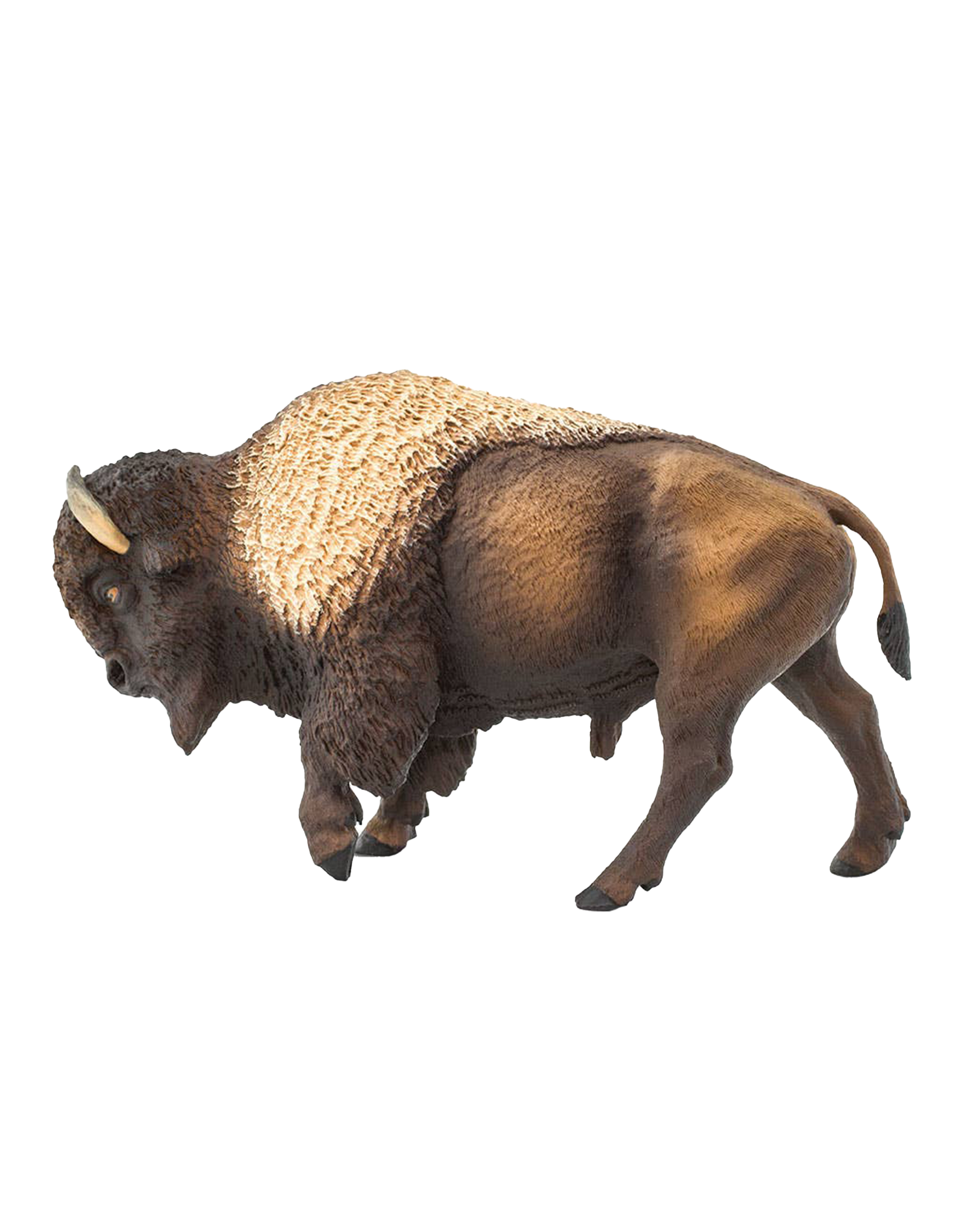 Bison – Camp Brand Goods